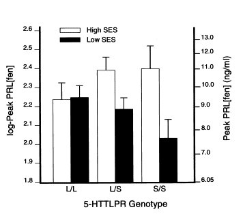 The serotonin transporter gene (SLC6A4) promoter polymorphism